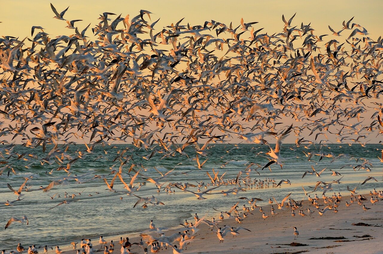 Börsen-Korrektur? Gold 4.500 und BTC auf 150.000 USD - Barrick, Sranan ...