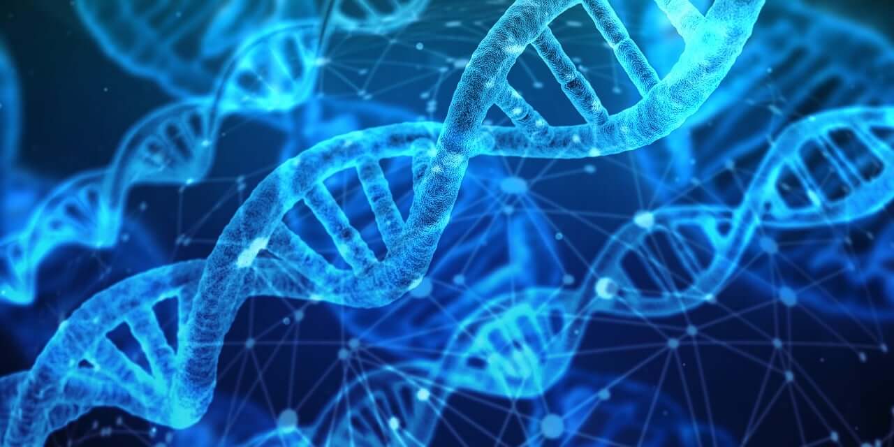 Onkologie-Boom: So könnten Bayer, Vidac Pharma und BioNTech mit ihren ...